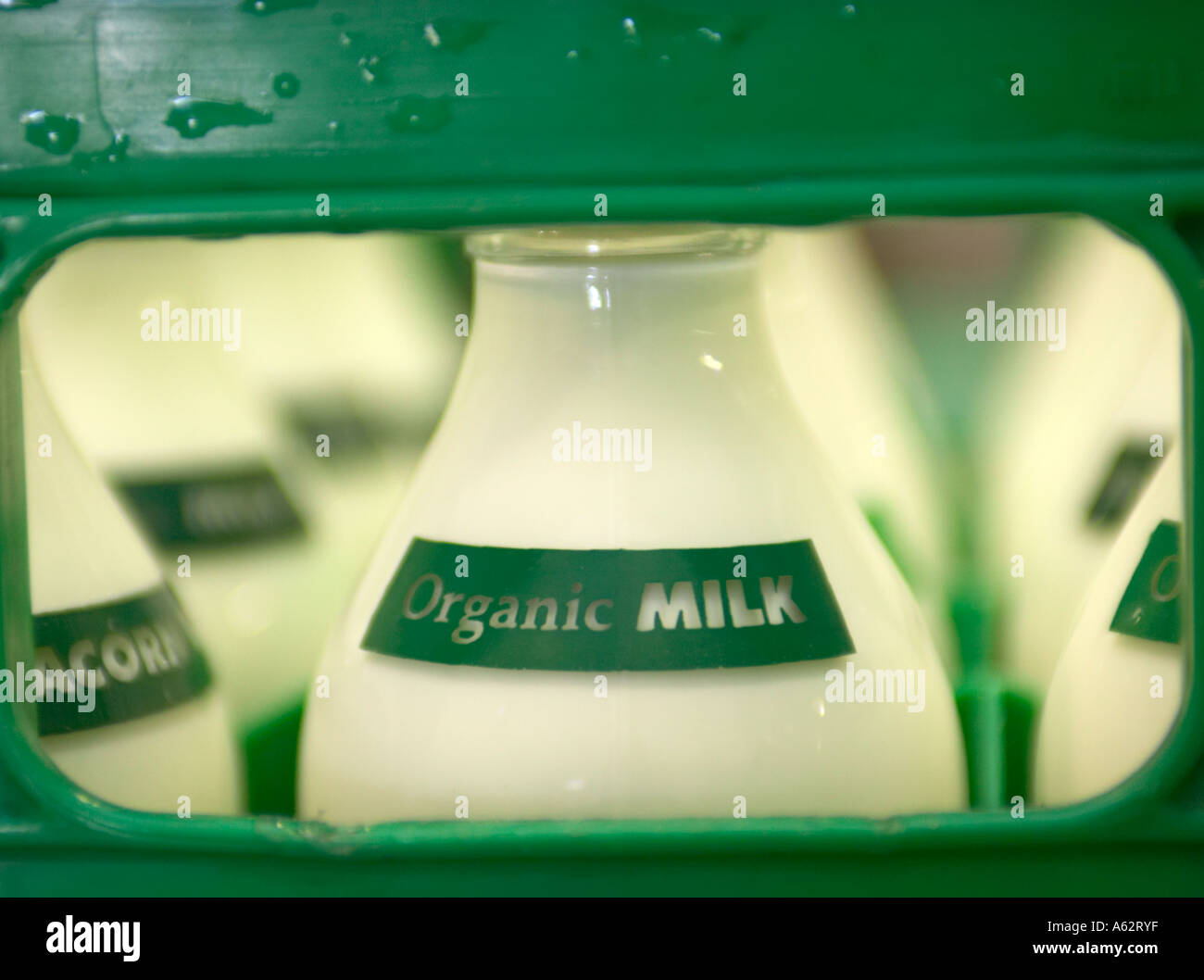 Bottle of milk from Acorn Organic Dairy Gawthorpe Farm County Durham ...