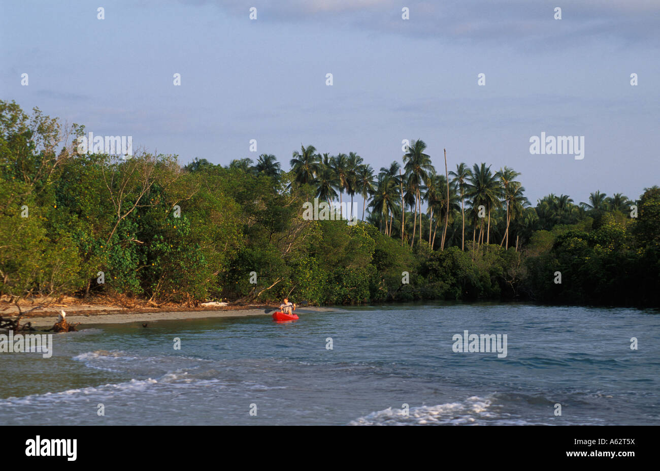 kayaking along the mangroves and palm lined beach Pangani Tanzania ...