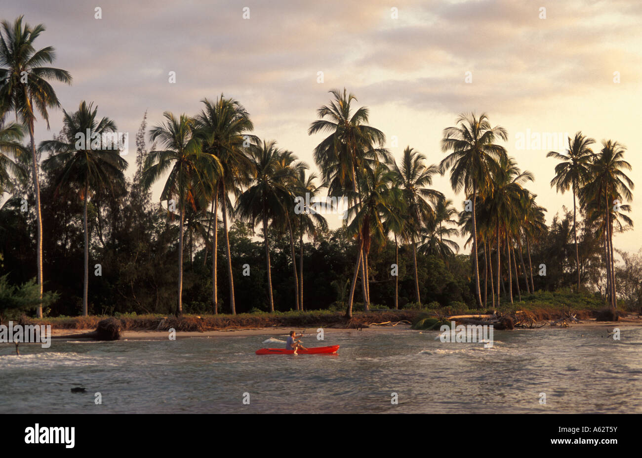 kayaking along the mangroves and palm lined beach Pangani Tanzania ...