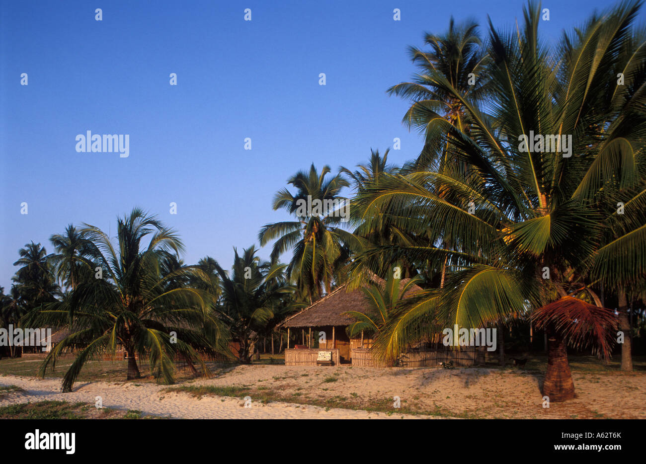 Emayani Beach Lodge palm-lined beach Pangani Tanzania Stock Photo - Alamy