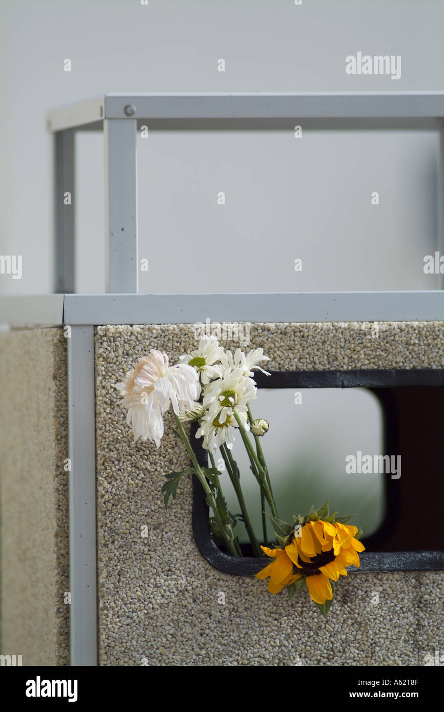 flowers in garbage can trash thrown away love unappreciated Stock Photo ...
