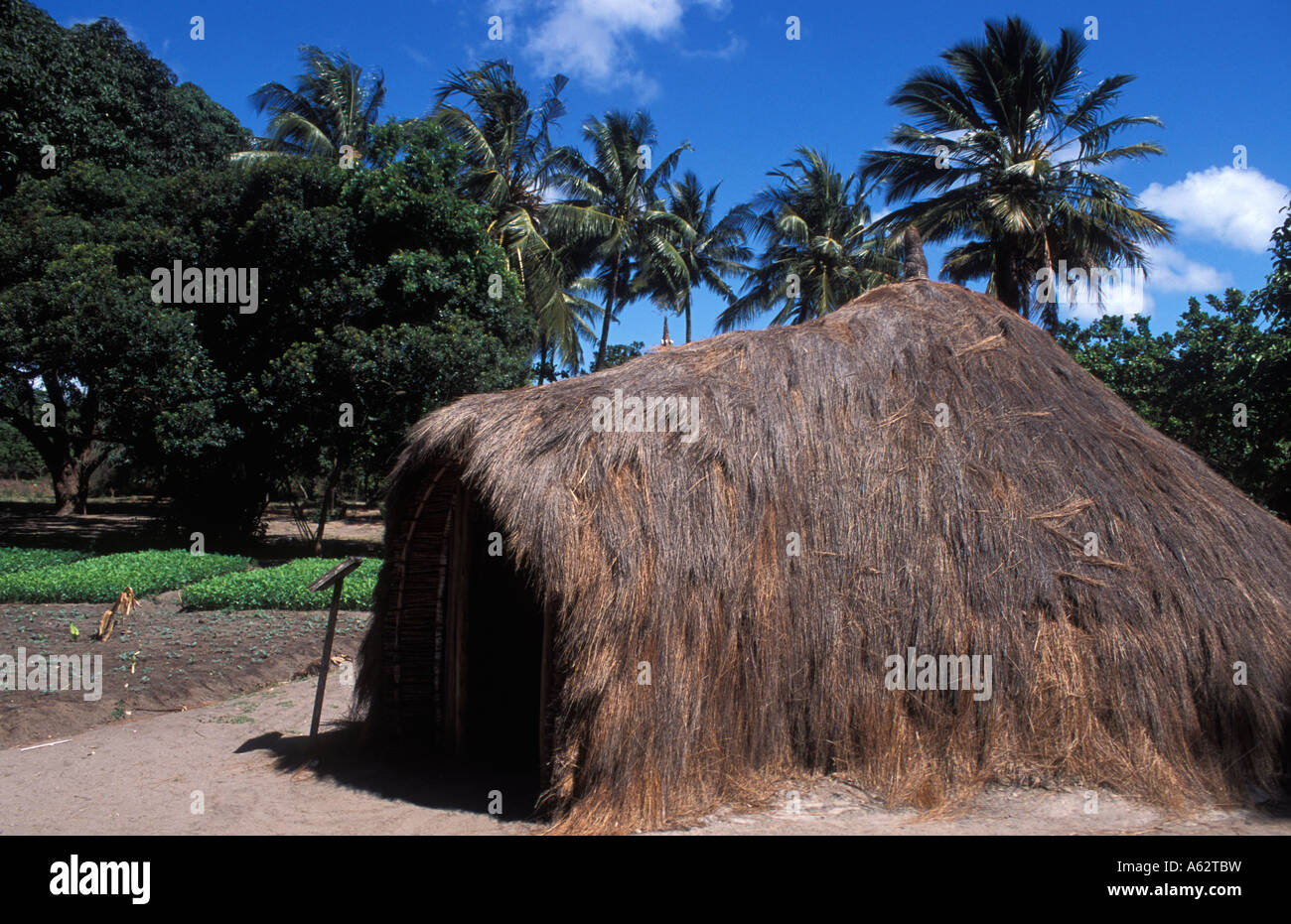 traditional homestead open air village museum Dar es Salaam Tanzania ...