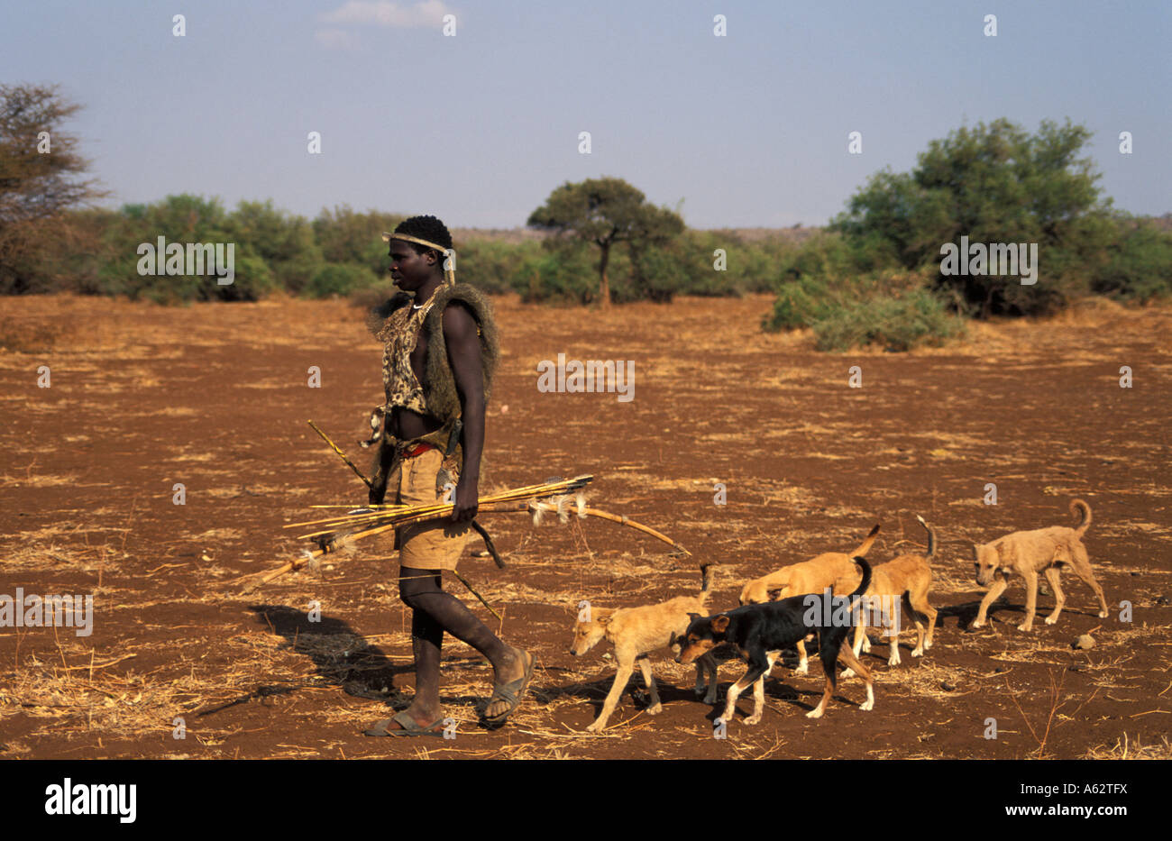 Hadzabe hadza tribe hunting bow High Resolution Stock Photography and ...