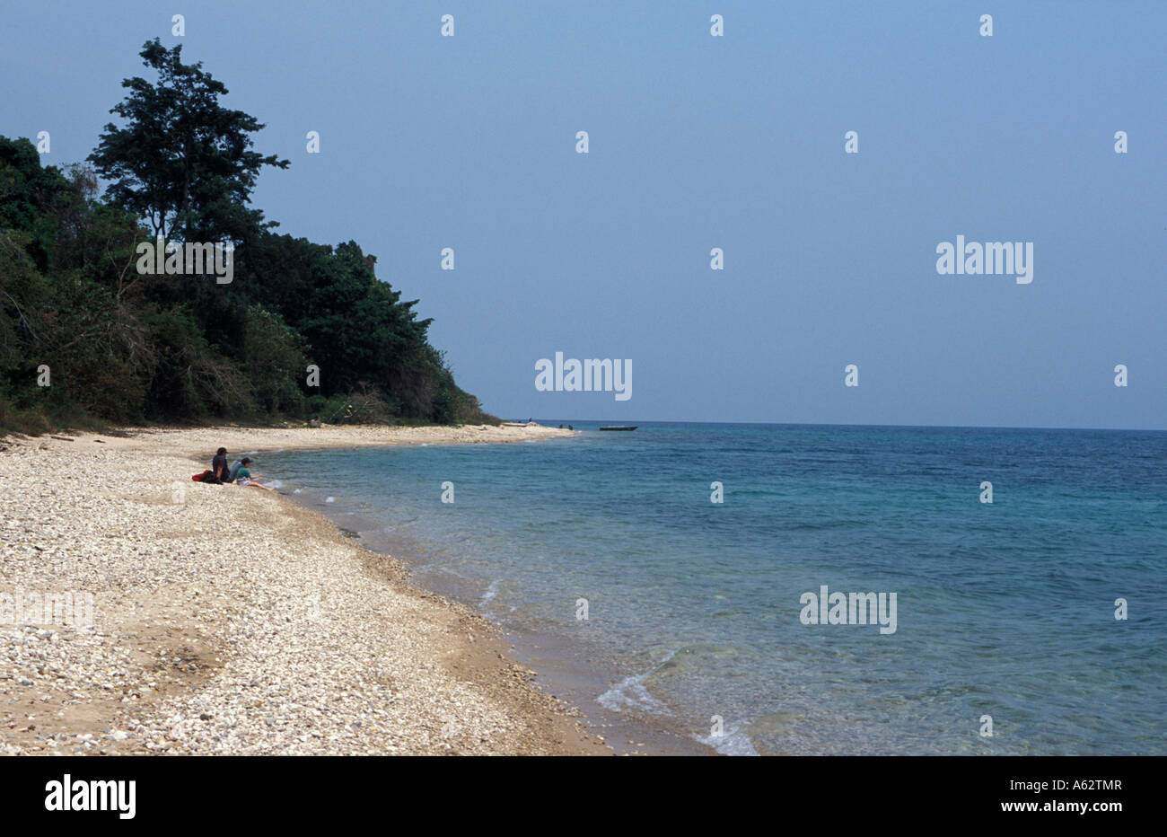 Beach in Gombe Stream National Park Lake Tanganyika Tanzania Stock ...