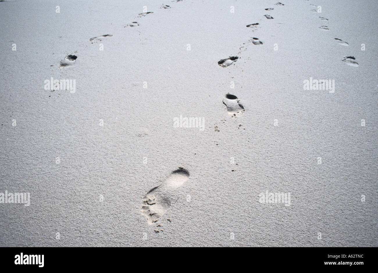 Human prints hi-res stock photography and images - Alamy