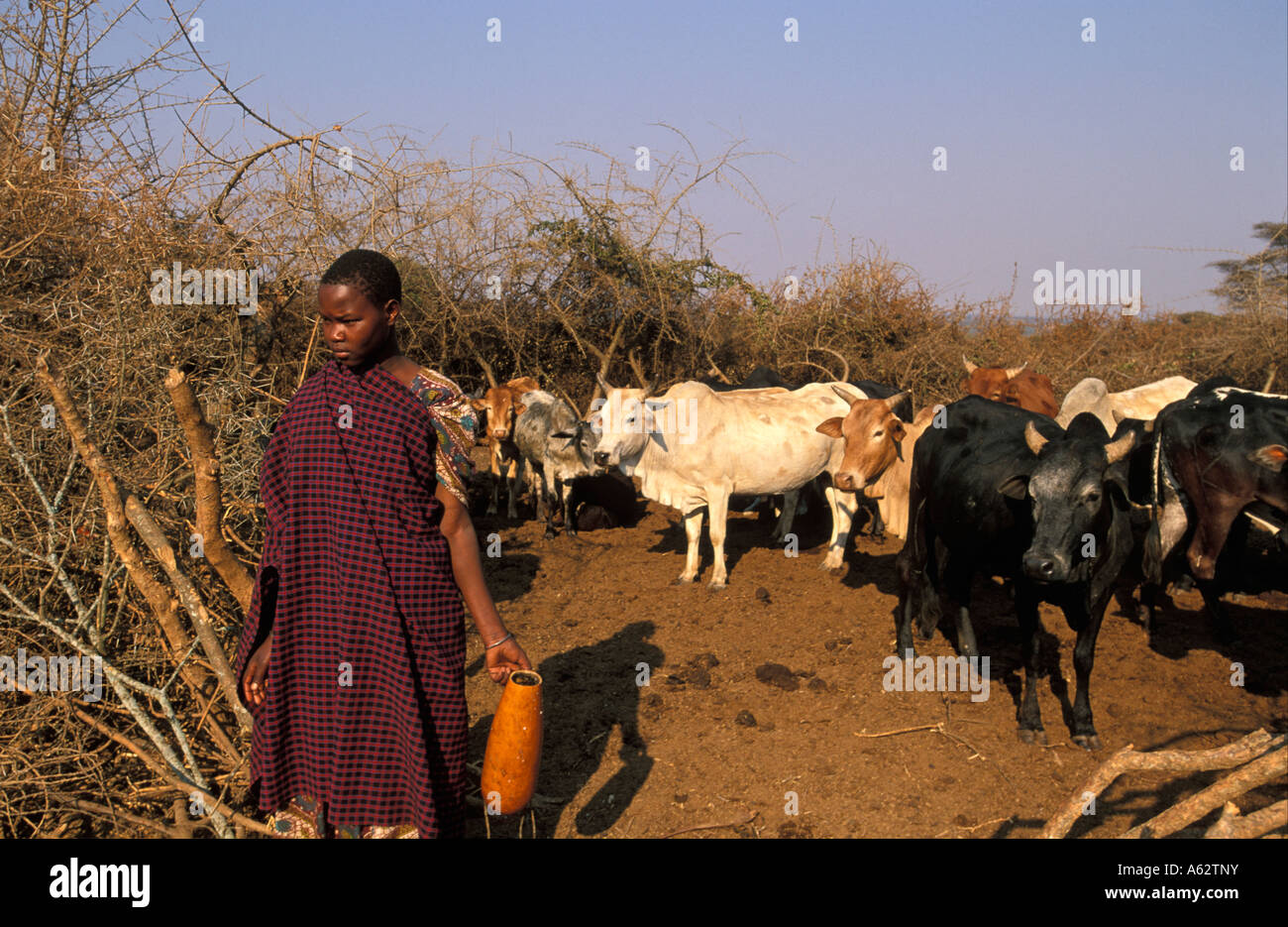 Barabaig people hi-res stock photography and images - Alamy