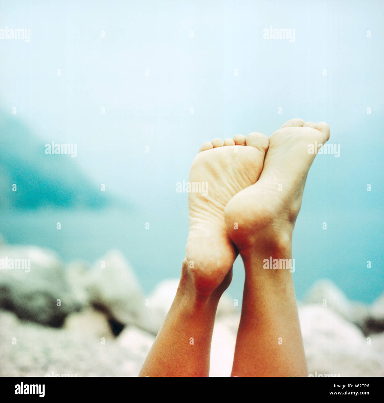 Soles High Resolution Stock Photography and Images - Alamy