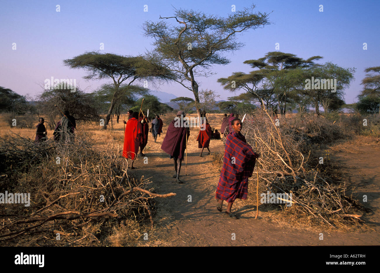 Barabaig village Central Rift Valley Hanang area Tanzania Stock Photo ...
