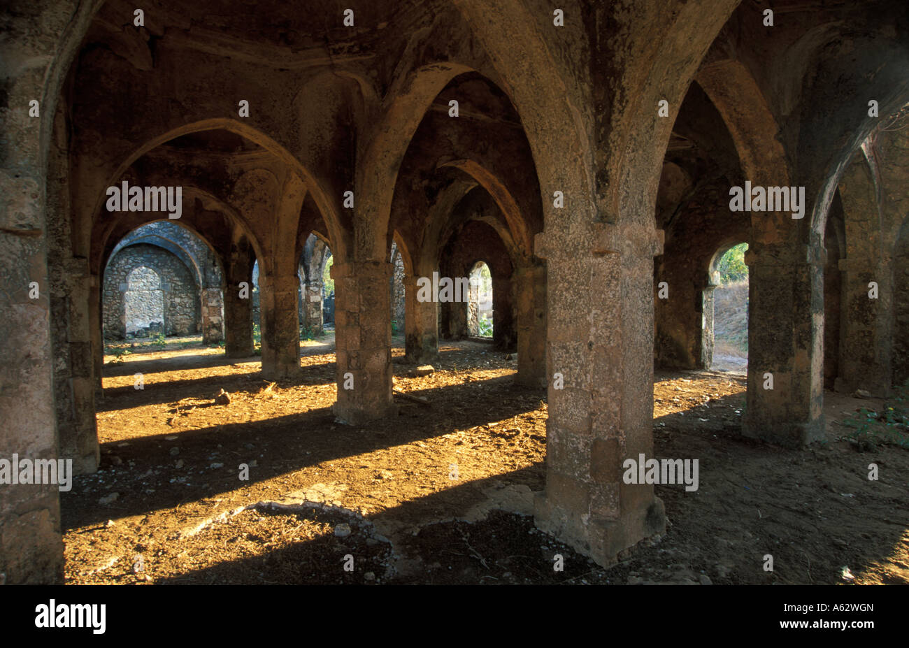 Kilwa Ruins Great Mosque interior built in the 14th century Kilwa ...