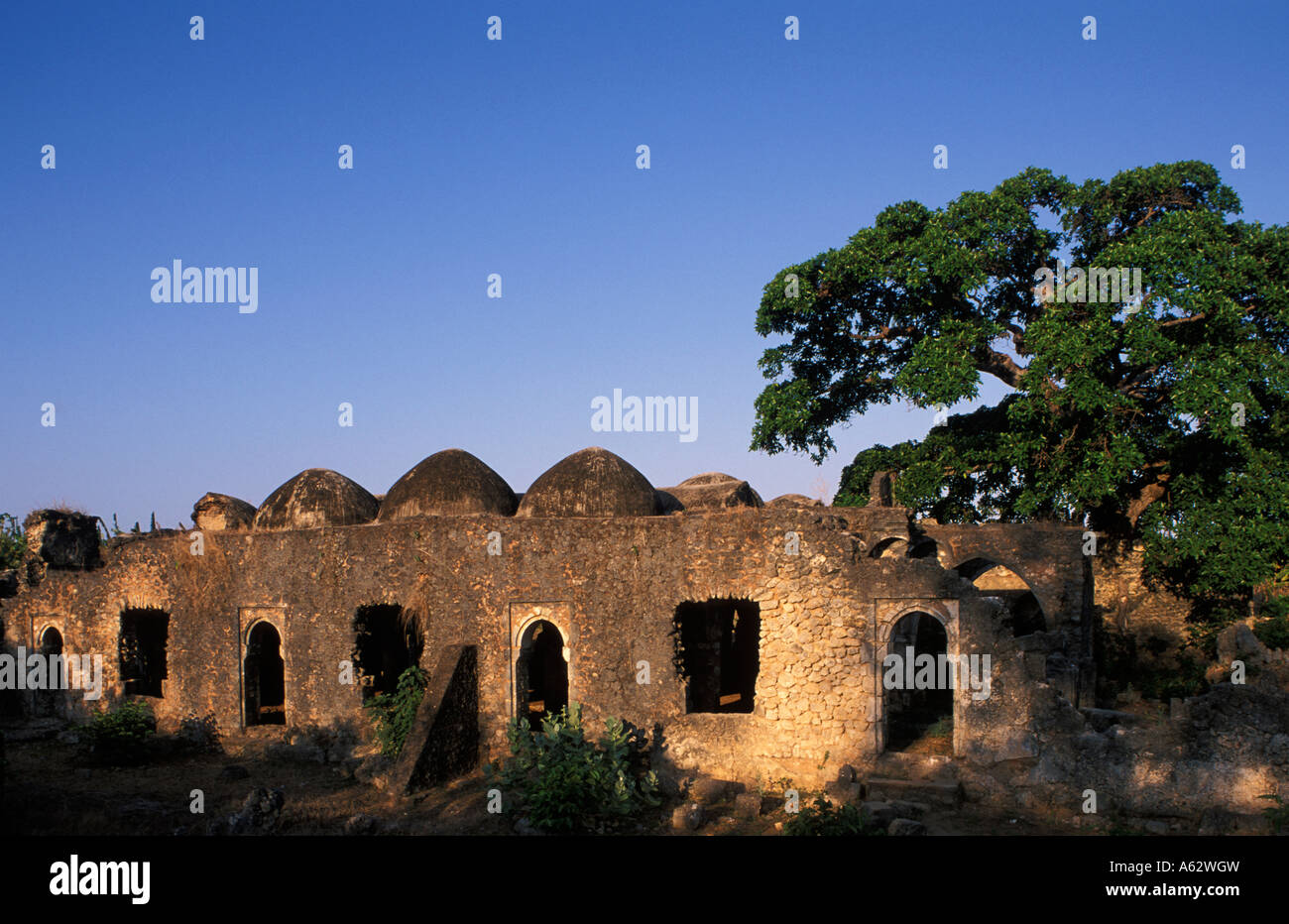 Kilwa Ruins Great Mosque built in the 14th century Kilwa Kisiwani South ...