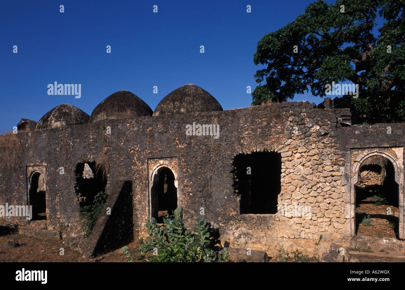 Kilwa Ruins Great Mosque built in the 14th century Kilwa Kisiwani South ...