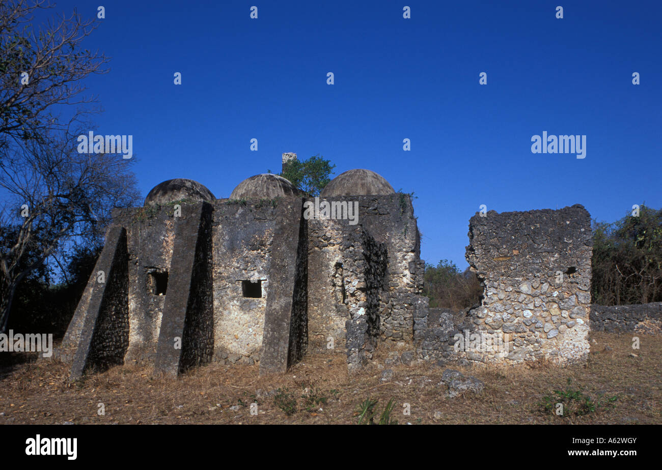 Kilwa Ruins Kilwa Kisiwani South Coast Tanzania Stock Photo - Alamy