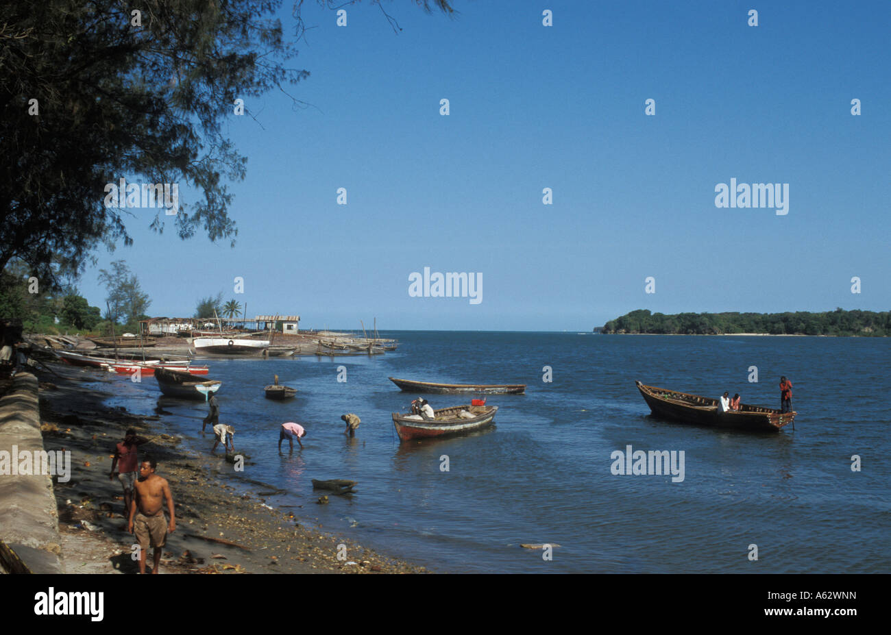 Pangani in the Pangani river mouth Tanzania Stock Photo - Alamy