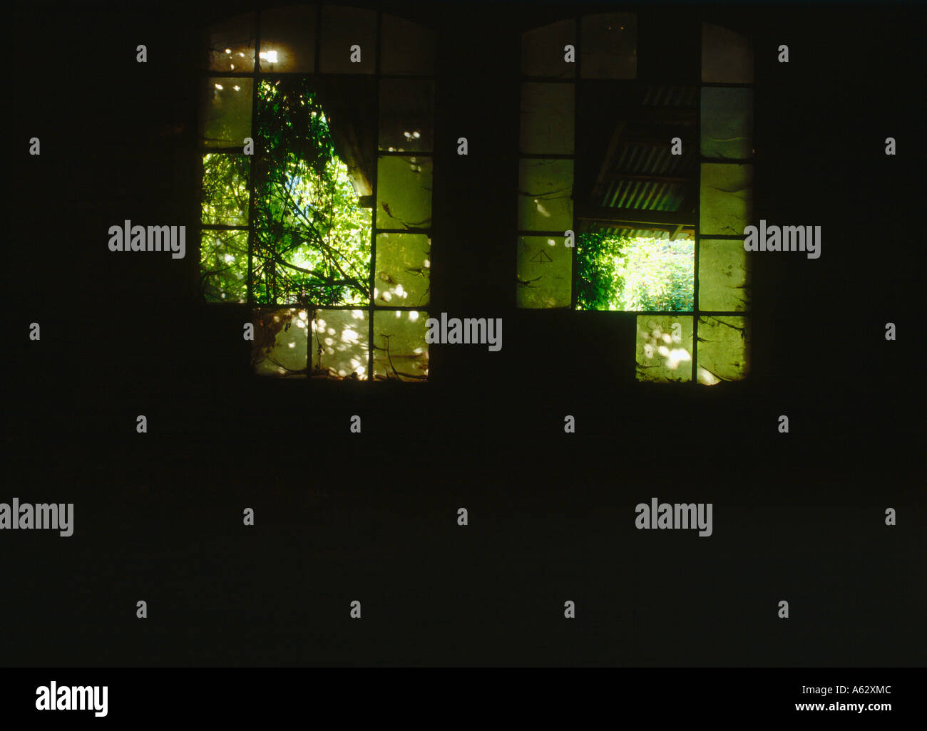 Broken green glasses of window of abandoned room Stock Photo - Alamy