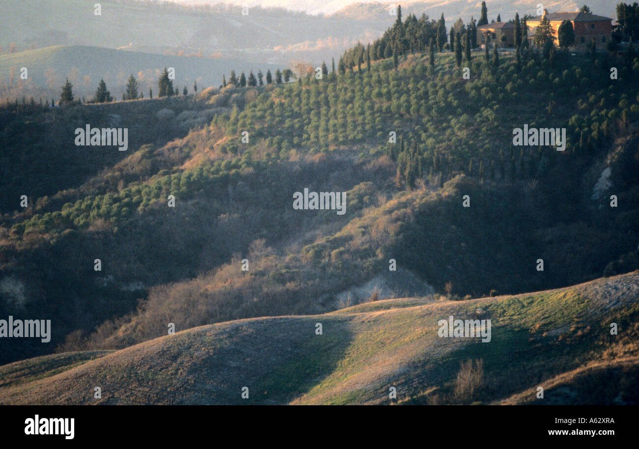 Farm on hills, Sienna hill, Sienna, Tuscany, Italy Stock Photo - Alamy