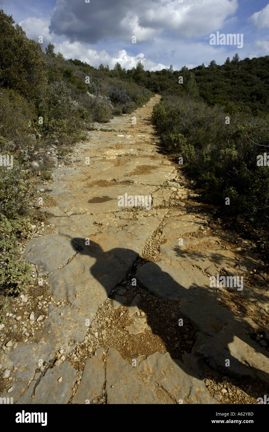 Shadow of a man walking on a path Stock Photo - Alamy