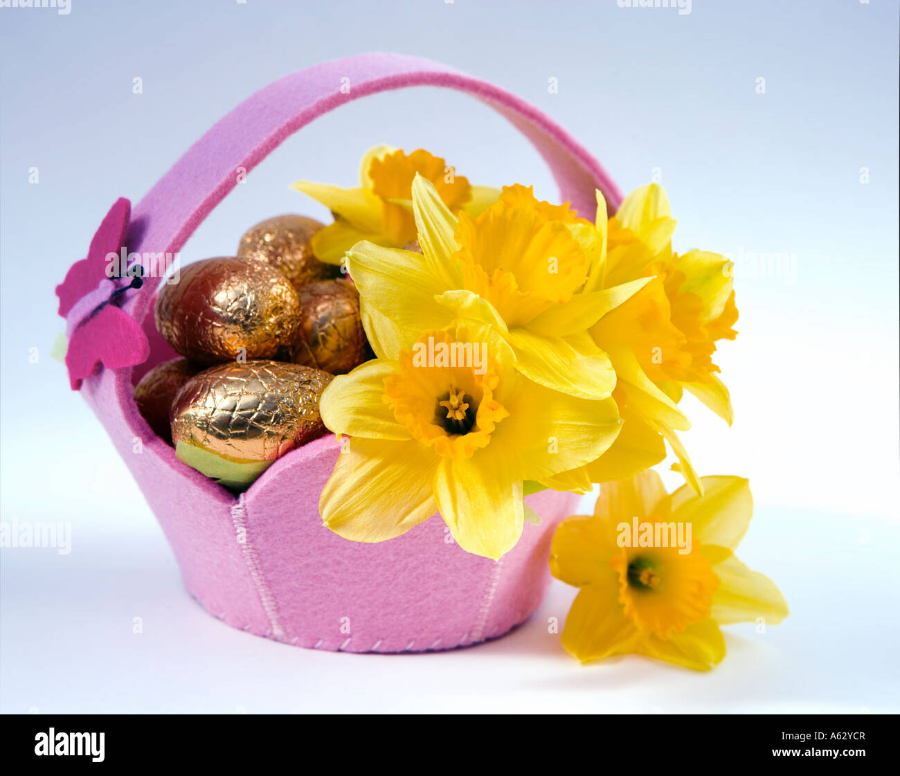 Easter egg basket filled with daffodils and chocolate easter eggs Stock ...