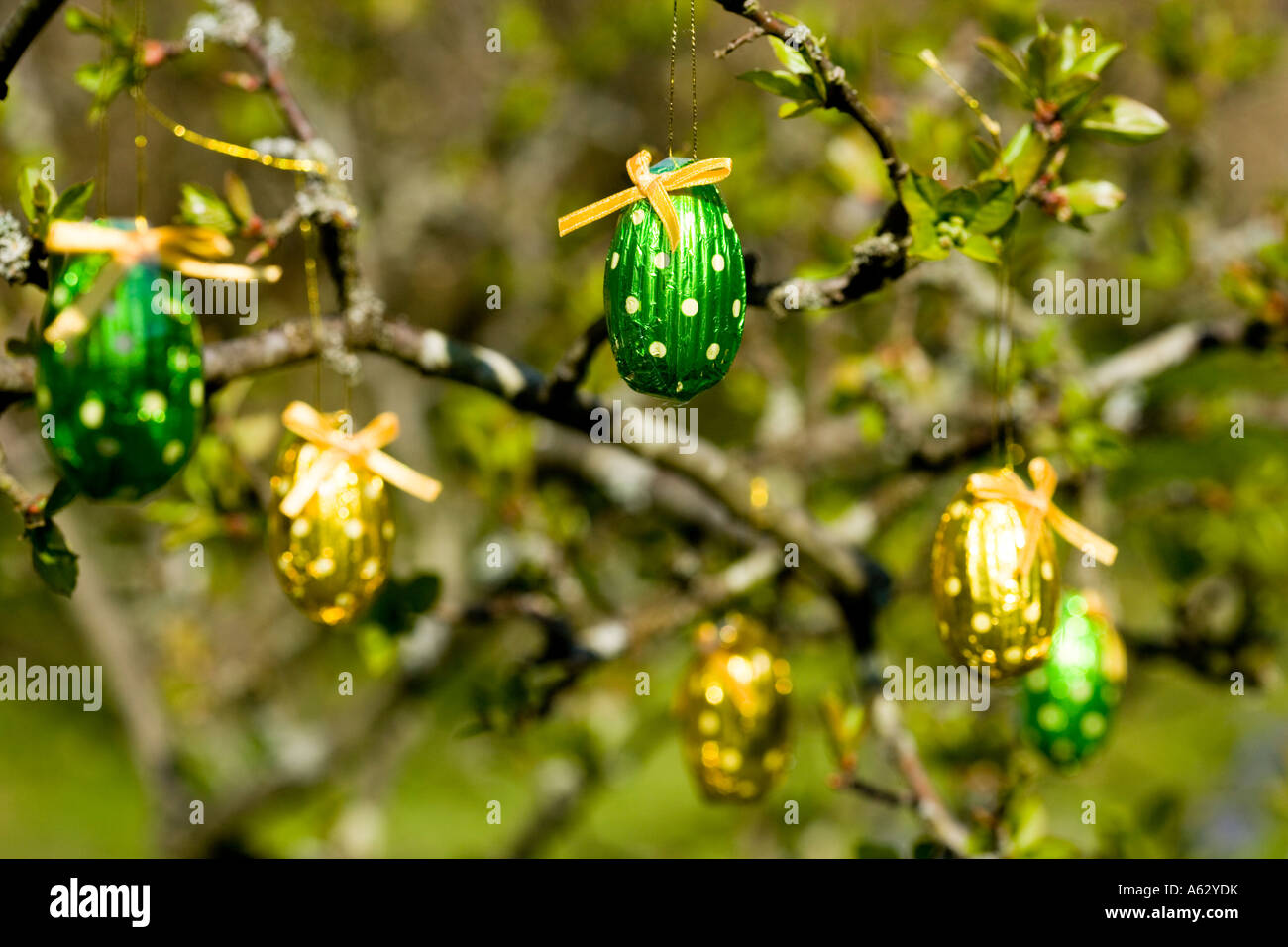 Painted easter eggs covered hi-res stock photography and images - Alamy