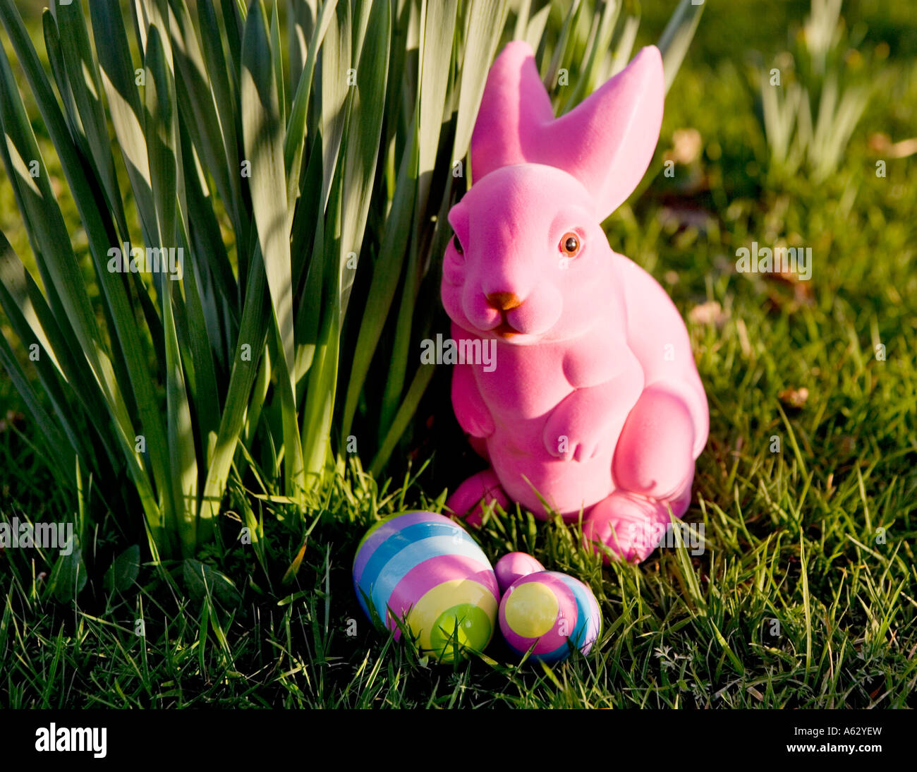 Pink easter bunny with easter eggs Stock Photo - Alamy