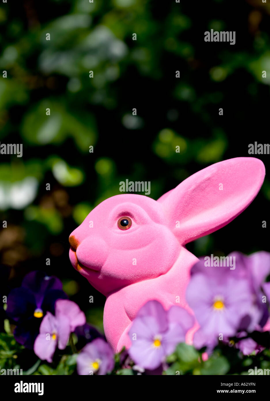Pink Easter bunny Stock Photo - Alamy
