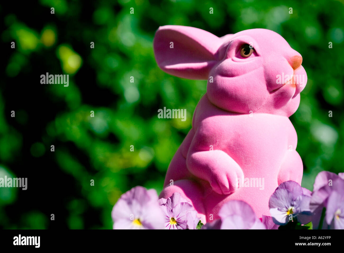 Pink Easter bunny Stock Photo - Alamy