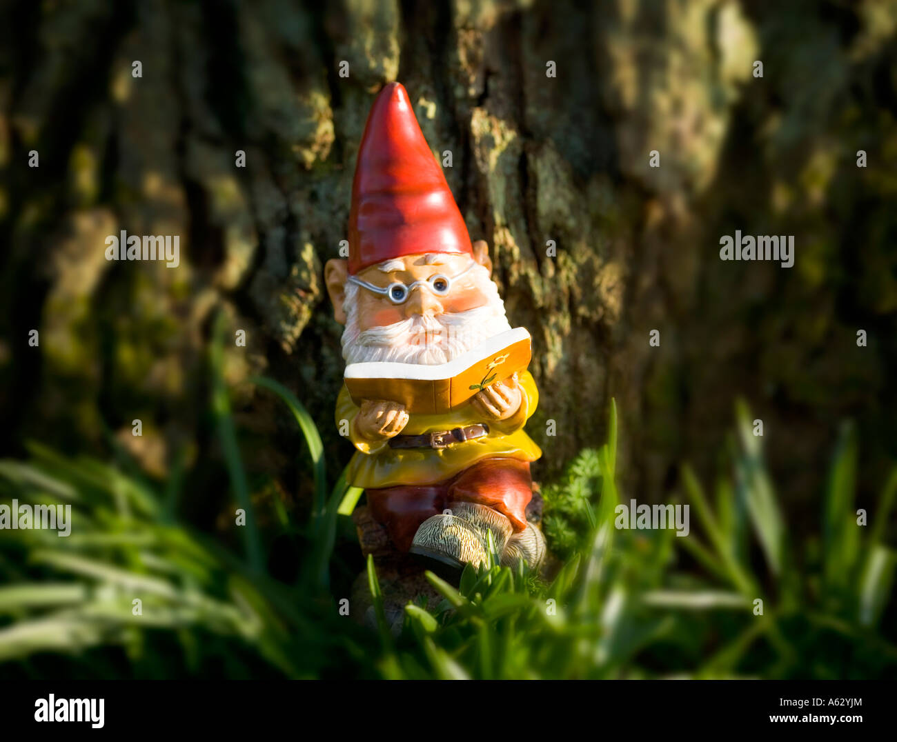 Gnome by a tree trunk Stock Photo - Alamy
