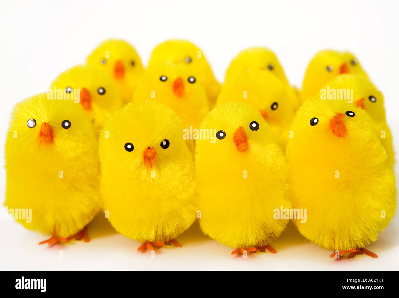 Toy easter chickens shot on a white background Stock Photo - Alamy