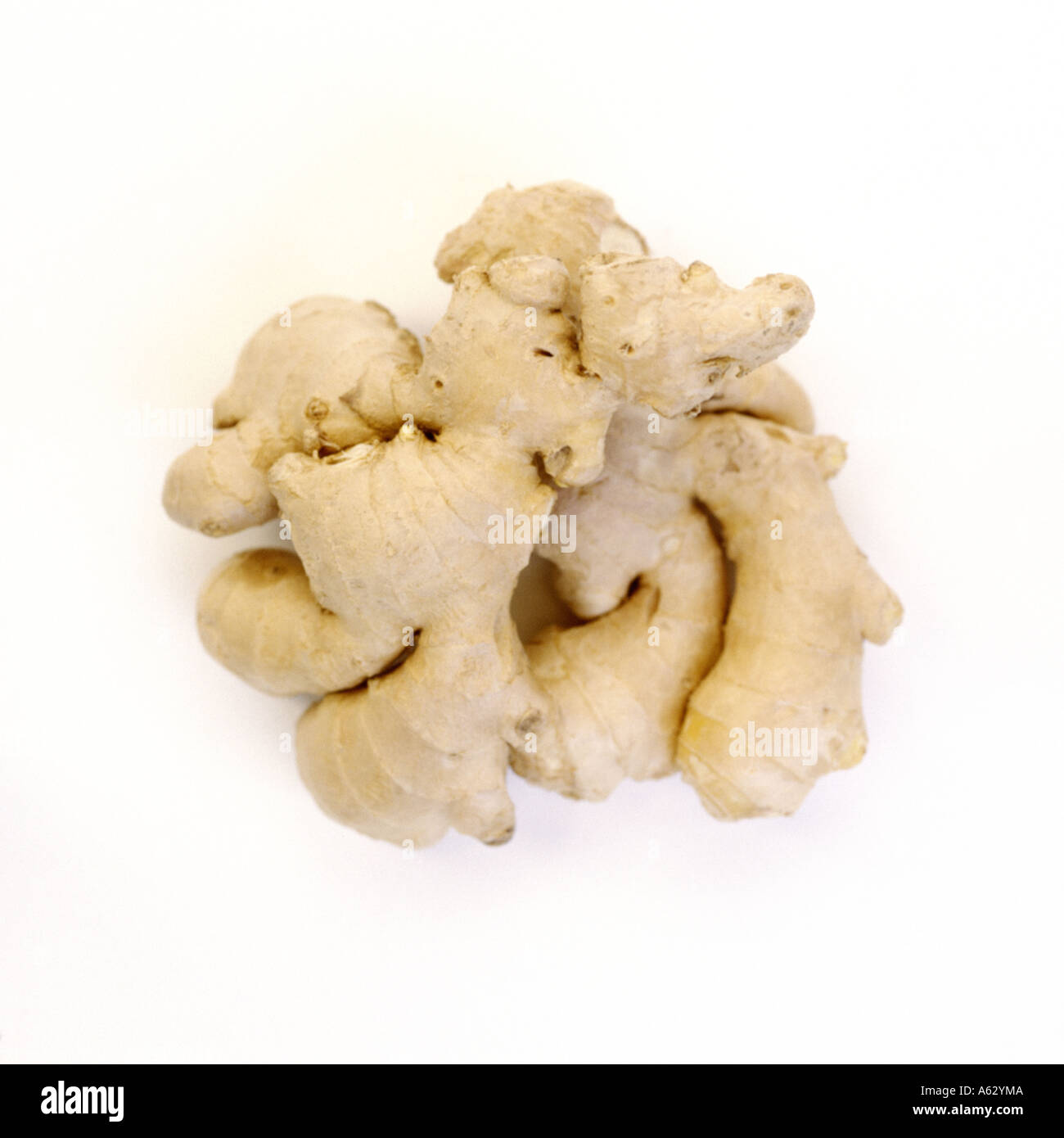 Big piece of ginger Cut Out Stock Images & Pictures - Alamy