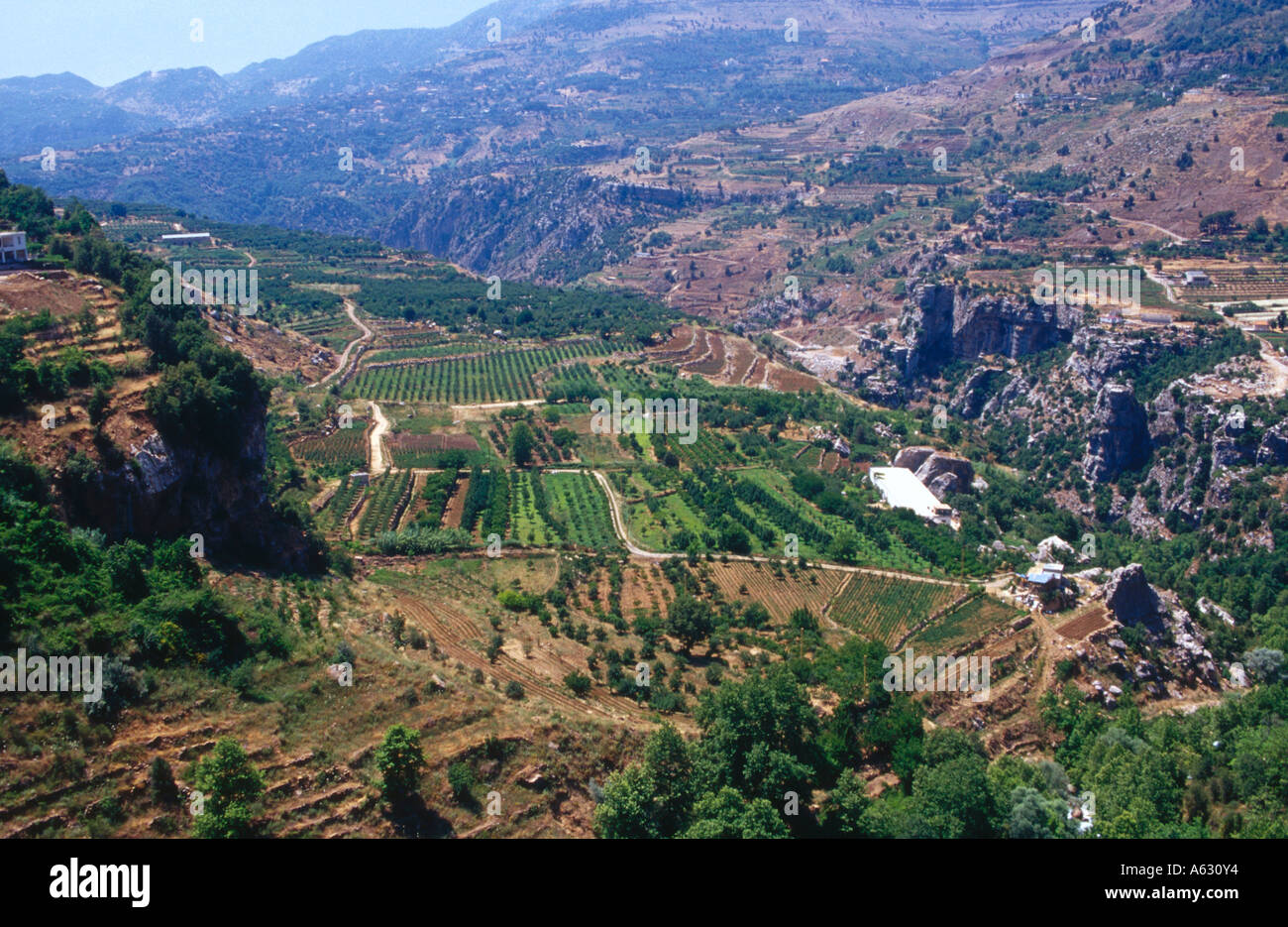 Lebanon lebanon hi-res stock photography and images - Alamy