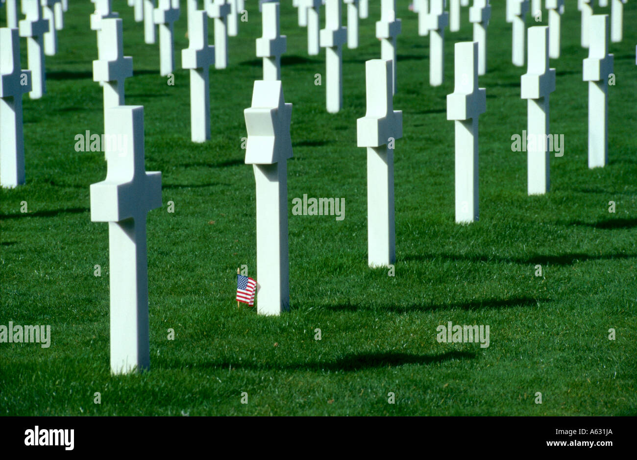 Cross in a row in war memorial, Normandy American Cemetery And Memorial ...