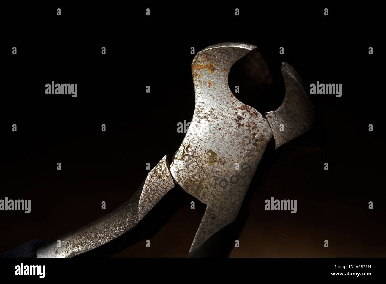 Sharp pincers hi-res stock photography and images - Alamy