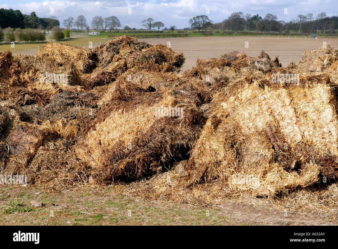 Rotting manure hi-res stock photography and images - Alamy