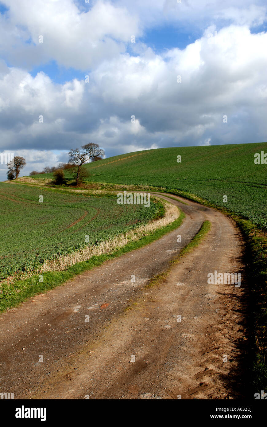 Rural lane countryside farming farmland landscape vertical crops ...