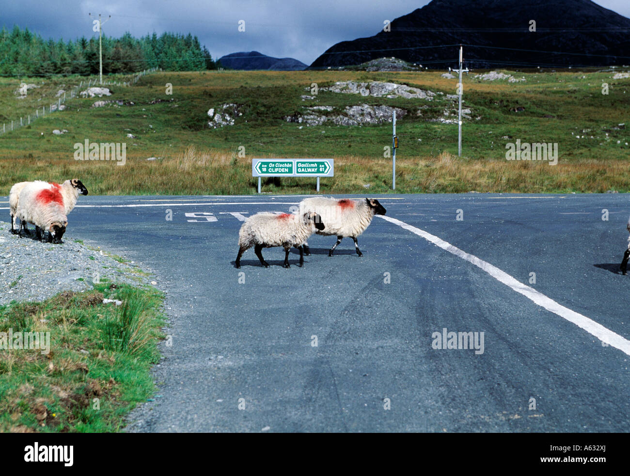 Road signs at clifden hi-res stock photography and images - Alamy