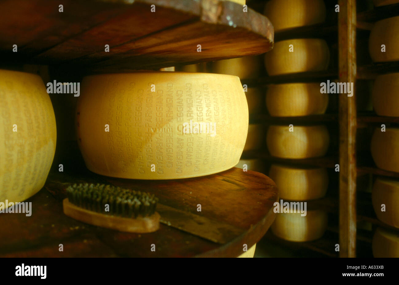 Parmesan Cheese on shelves in storage room, Emilia-Romagna, Italy Stock ...