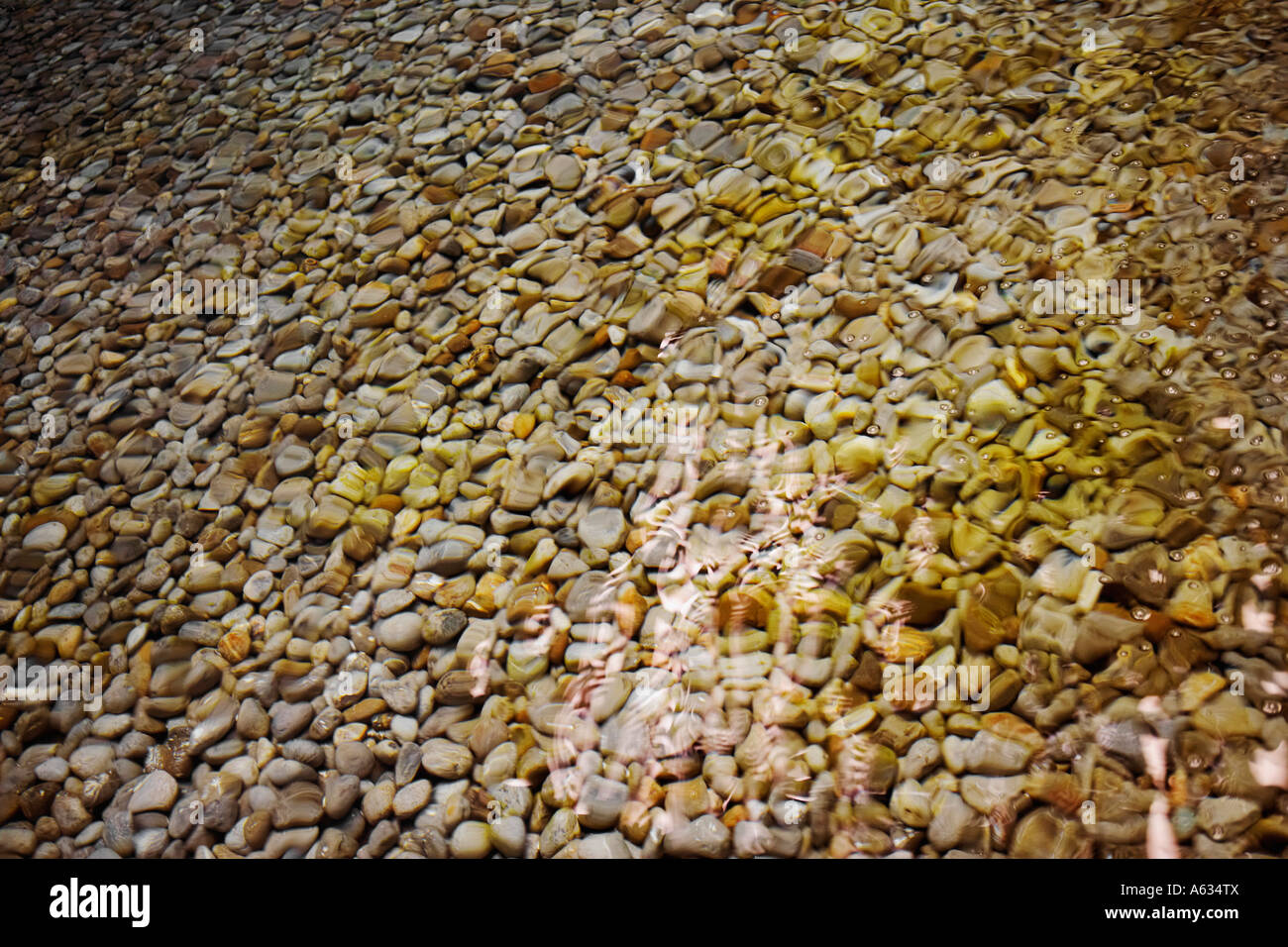 High angle view of stones underwater Stock Photo - Alamy