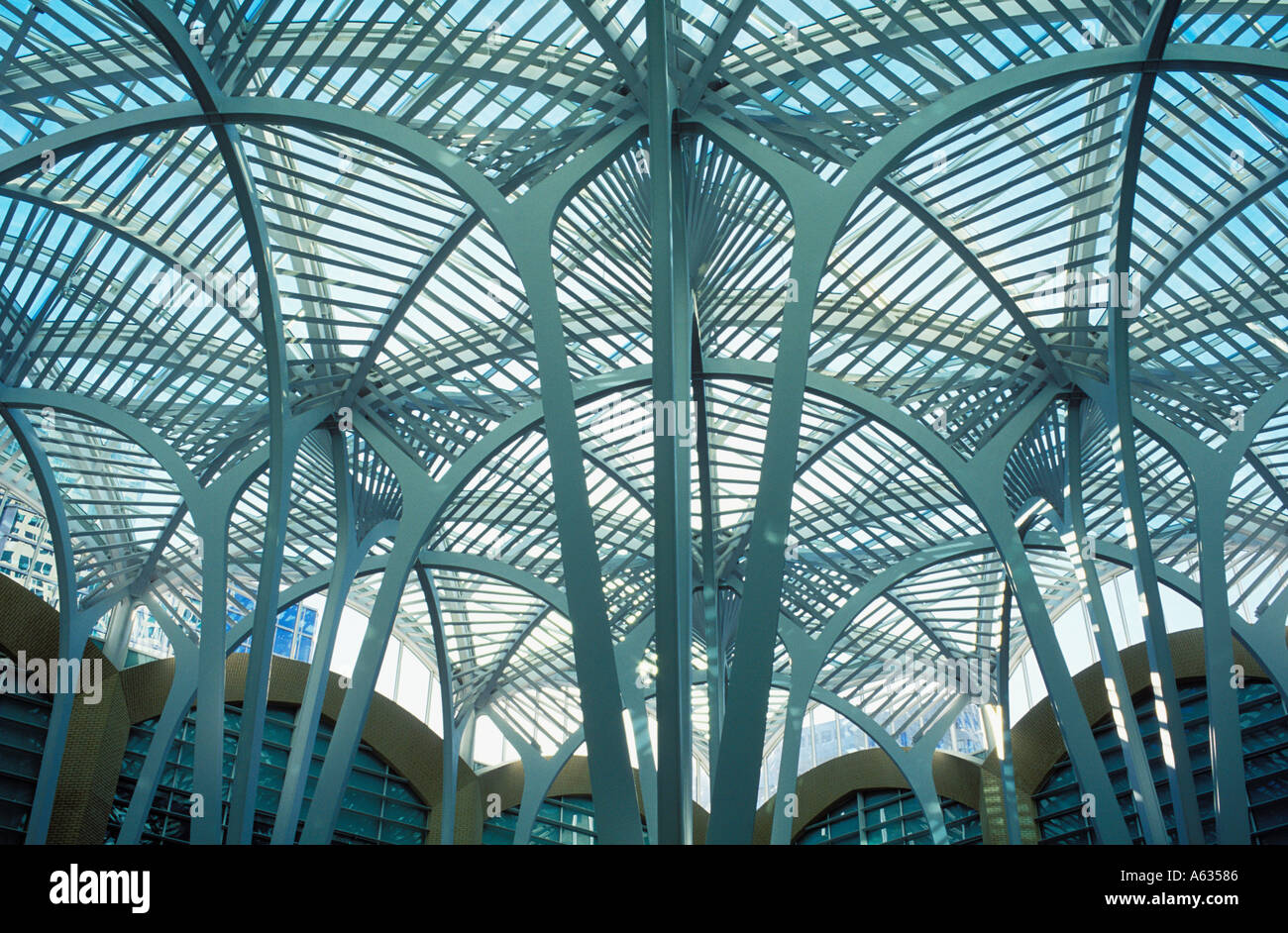 Architecture ceiling hi-res stock photography and images - Alamy