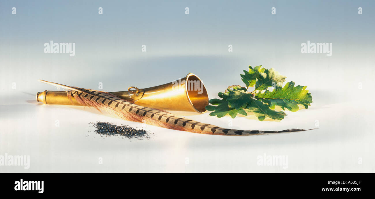 Horn feather hi-res stock photography and images - Alamy