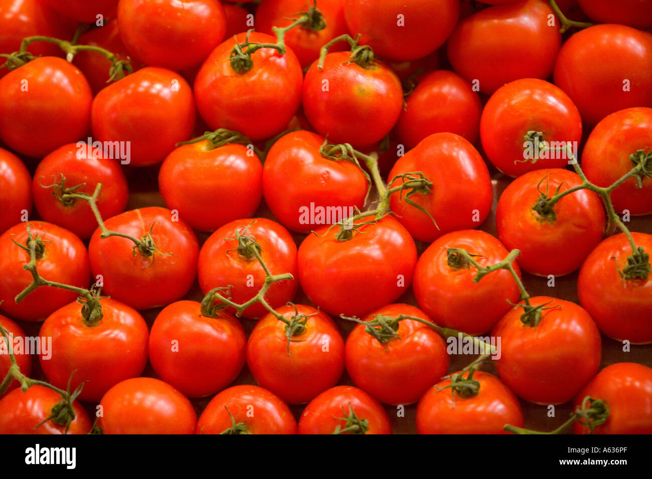 Squashed tomatos hi-res stock photography and images - Alamy
