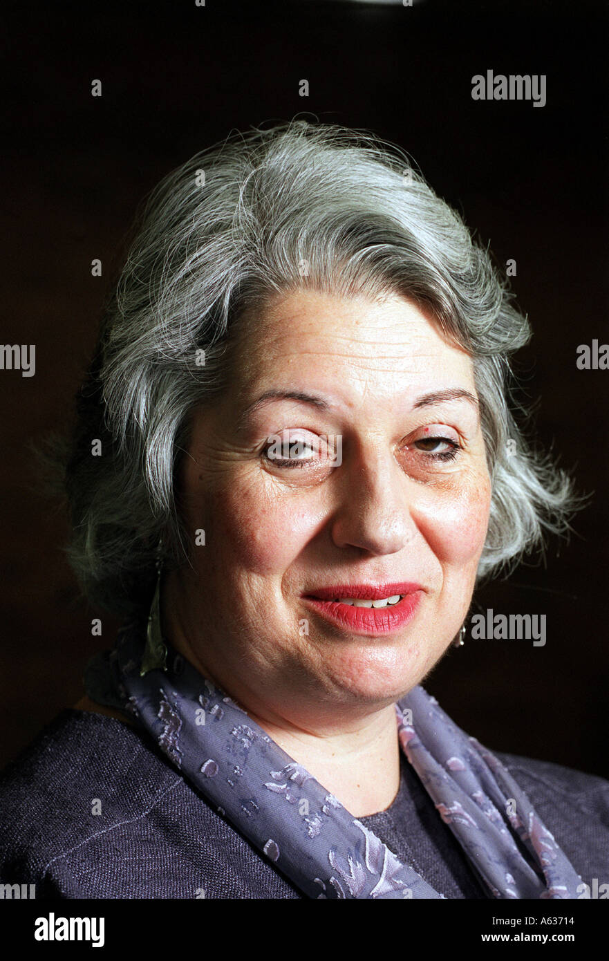 Baroness sally hamwee hi-res stock photography and images - Alamy