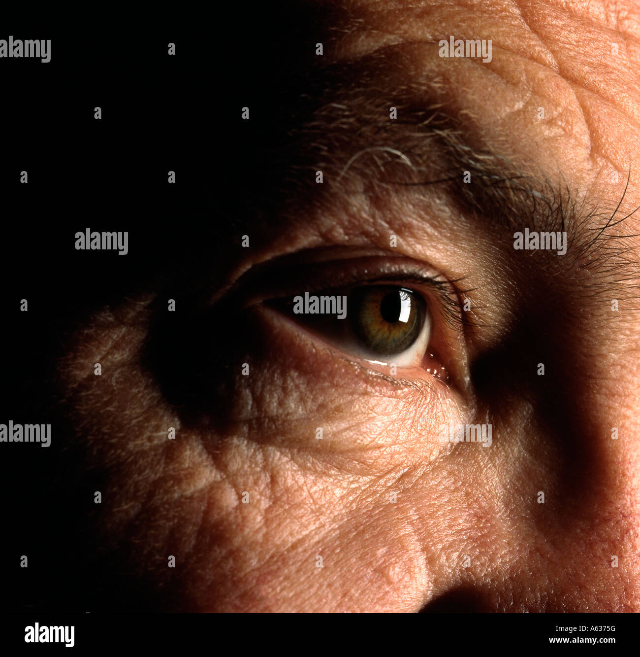 Mans eye. Picture by Patrick Steel patricksteel Stock Photo - Alamy
