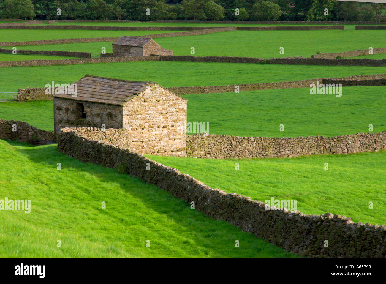 Stone barns and walls in Swaledale Yorkshire UK Stock Photo - Alamy