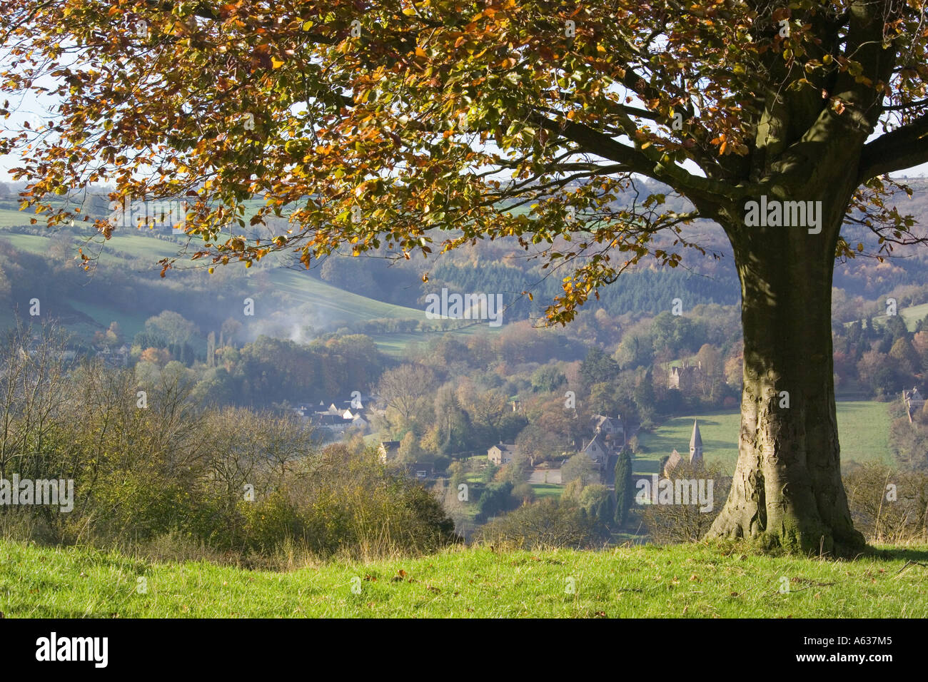 Autumn in the Stroud Valleys looking towards Woodchester from Amberley ...
