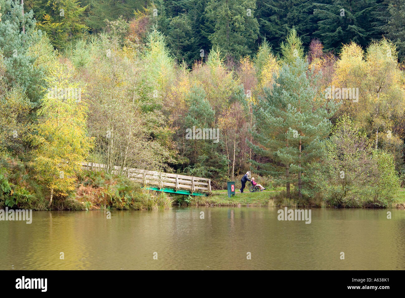 Autumn in the Forest of Dean at Mallards Pike Lake, Gloucestershire ...