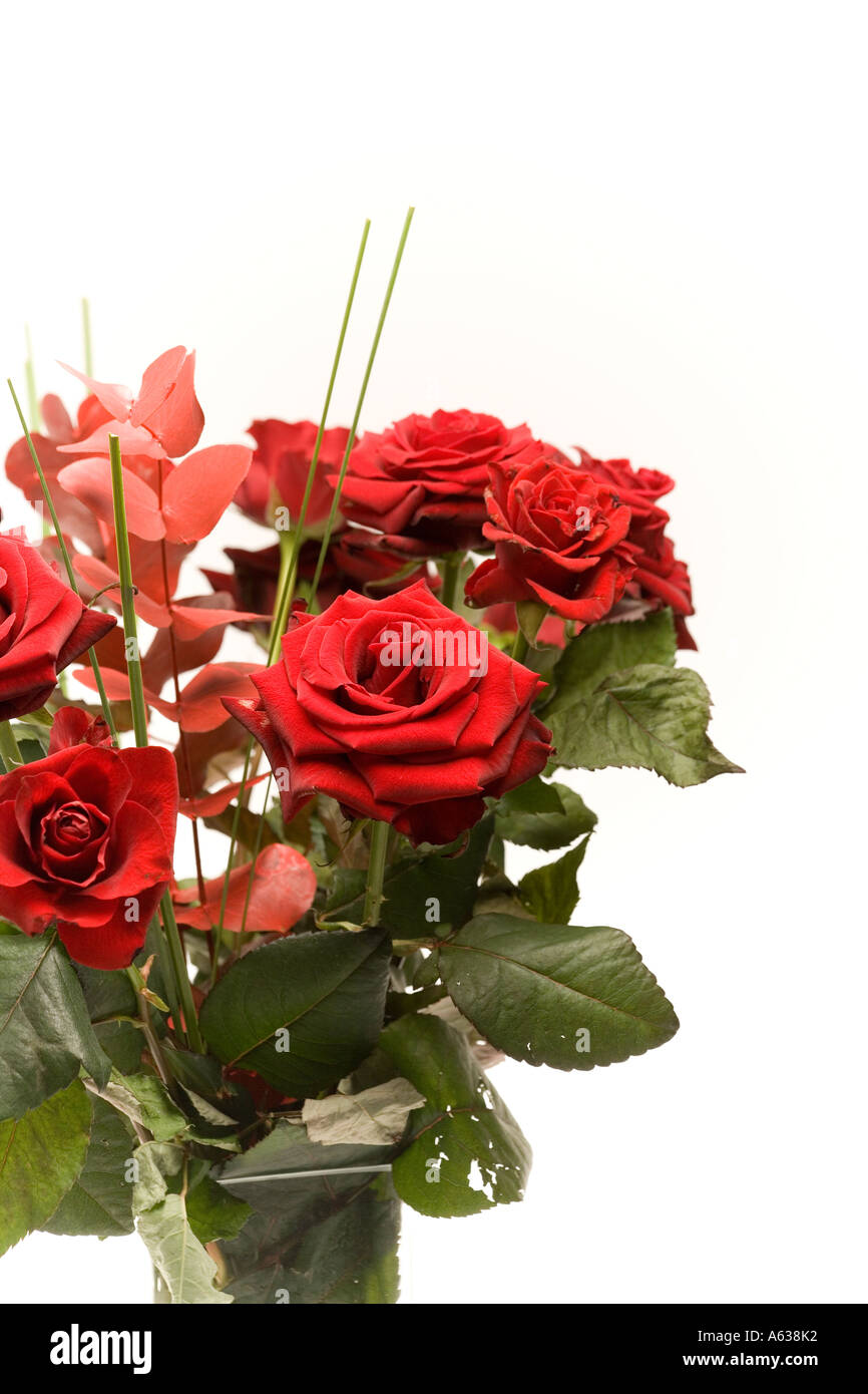 Red roses in vase Stock Photo - Alamy