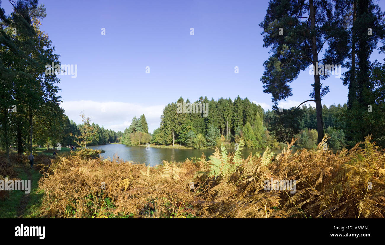 Autumn in the Forest of Dean at Mallards Pike Lake, Gloucestershire ...
