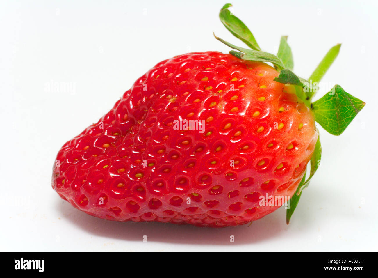 Strawberry on a white background Stock Photo - Alamy
