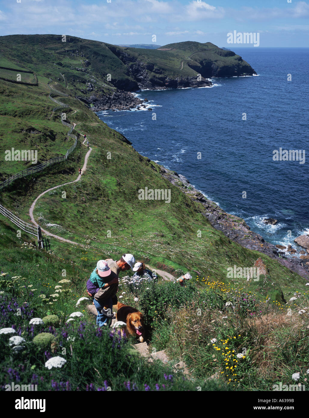Cornish Coastal Walk Port Isaac to Portquin Cornwall Stock Photo - Alamy