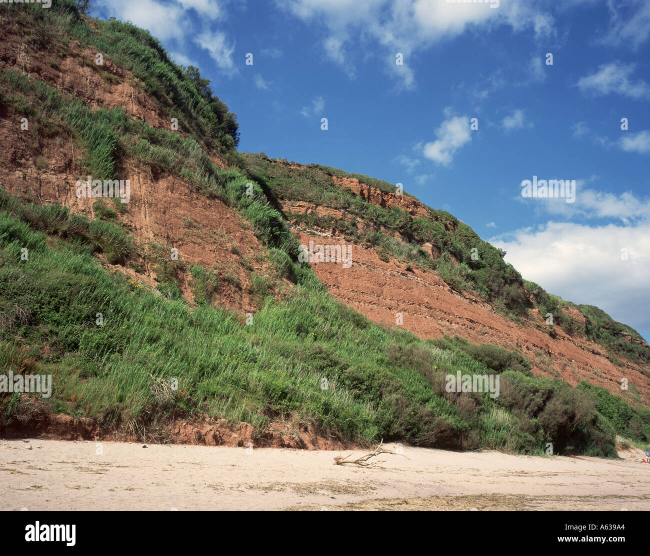 Devon Coastal Walk Exmouth Coastal erosion of the cliffs Stock Photo ...