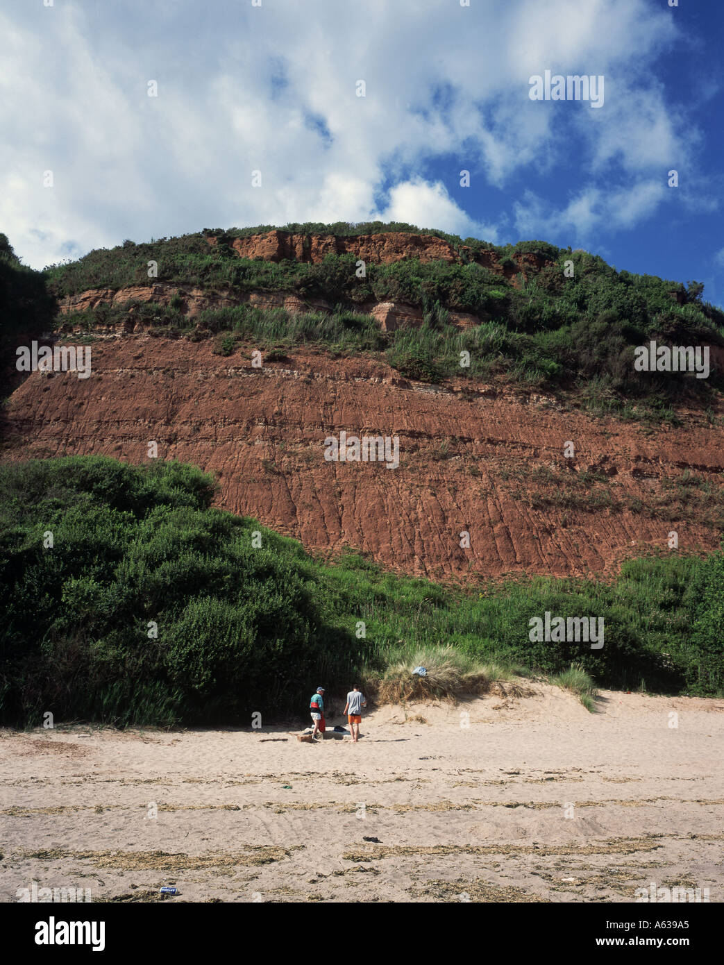 Devon Coastal Walk Exmouth Coastal erosion of the cliffs Stock Photo ...